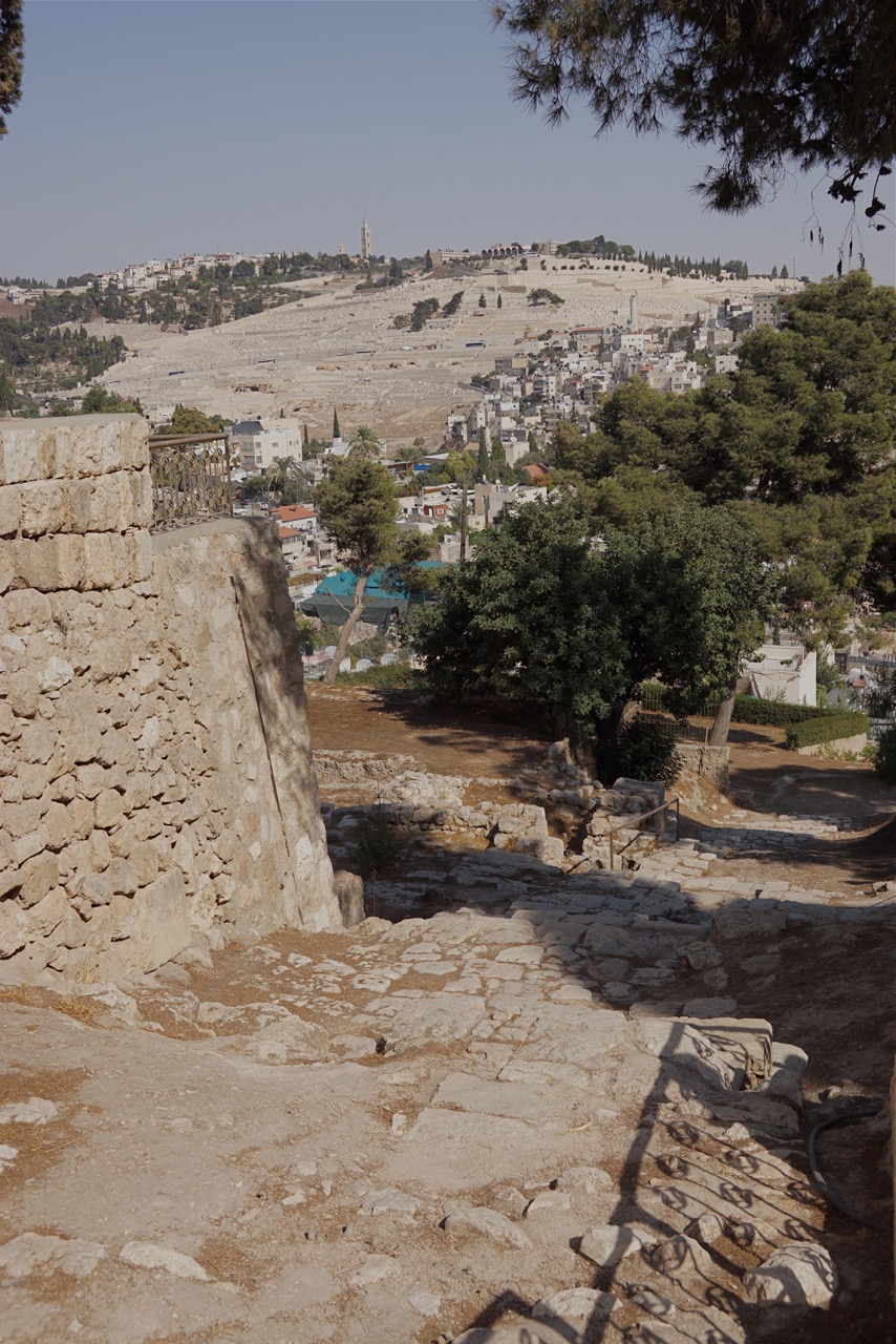 Holy Steps (Chapter 52 of Jesus: His Story In Stone)