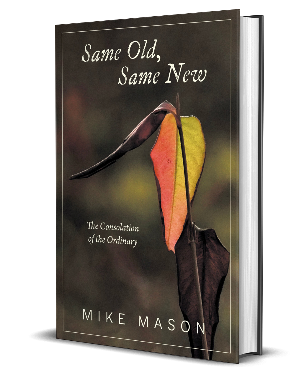 Same Old, Same New: The Consolation of the Ordinary - Mike Mason