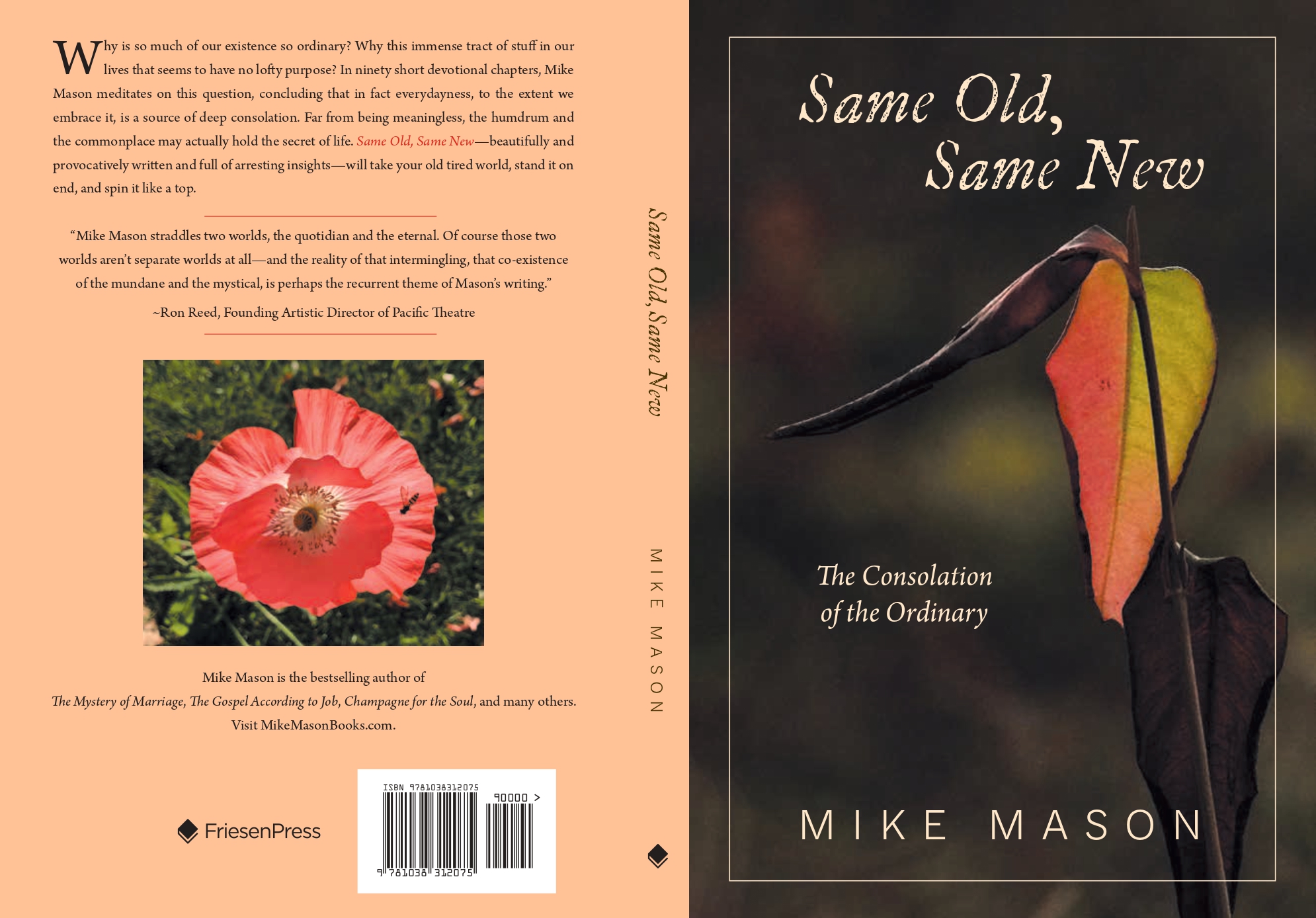 SAME OLD, SAME NEW: Brand New Book! - Mike Mason