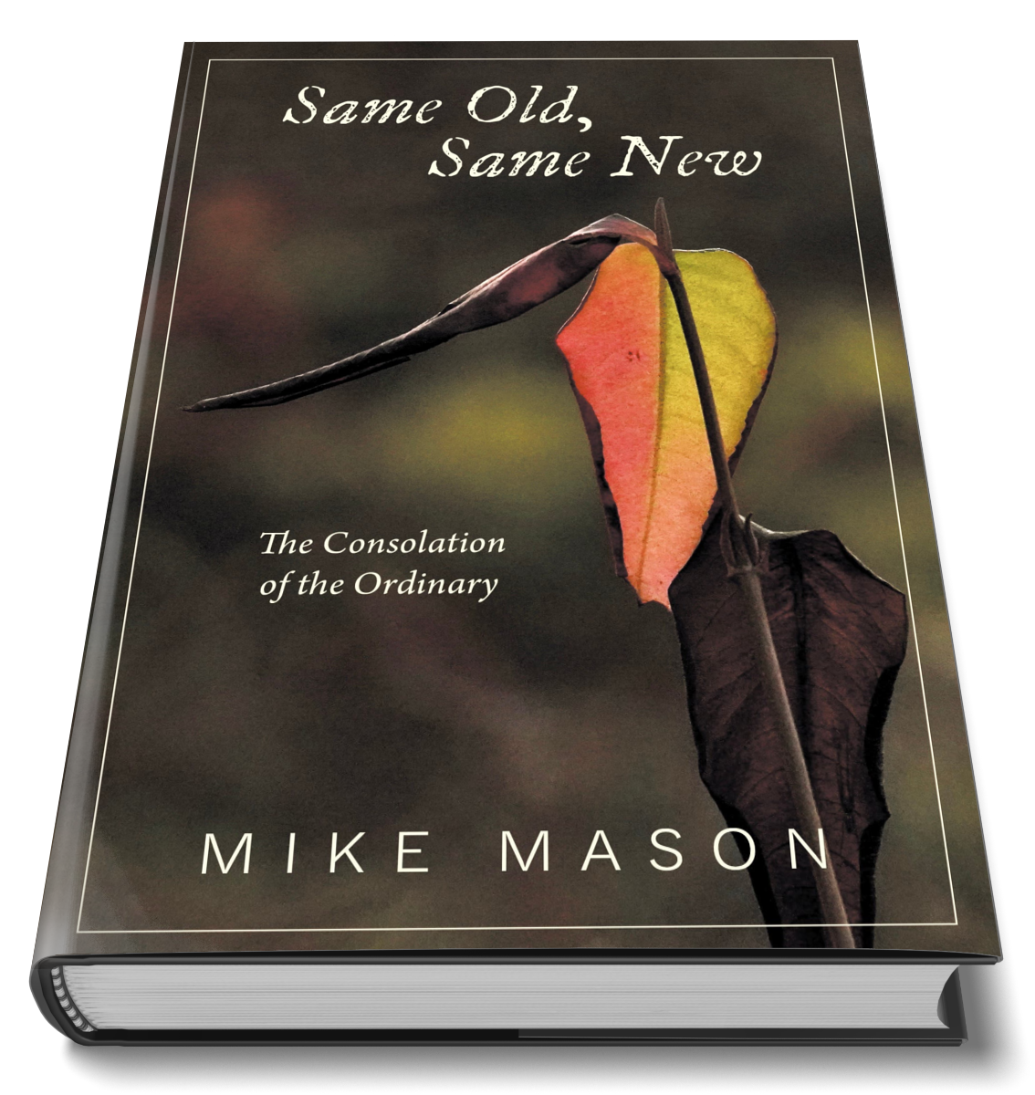 Creating Content: The Great Unboxing Video! - Mike Mason