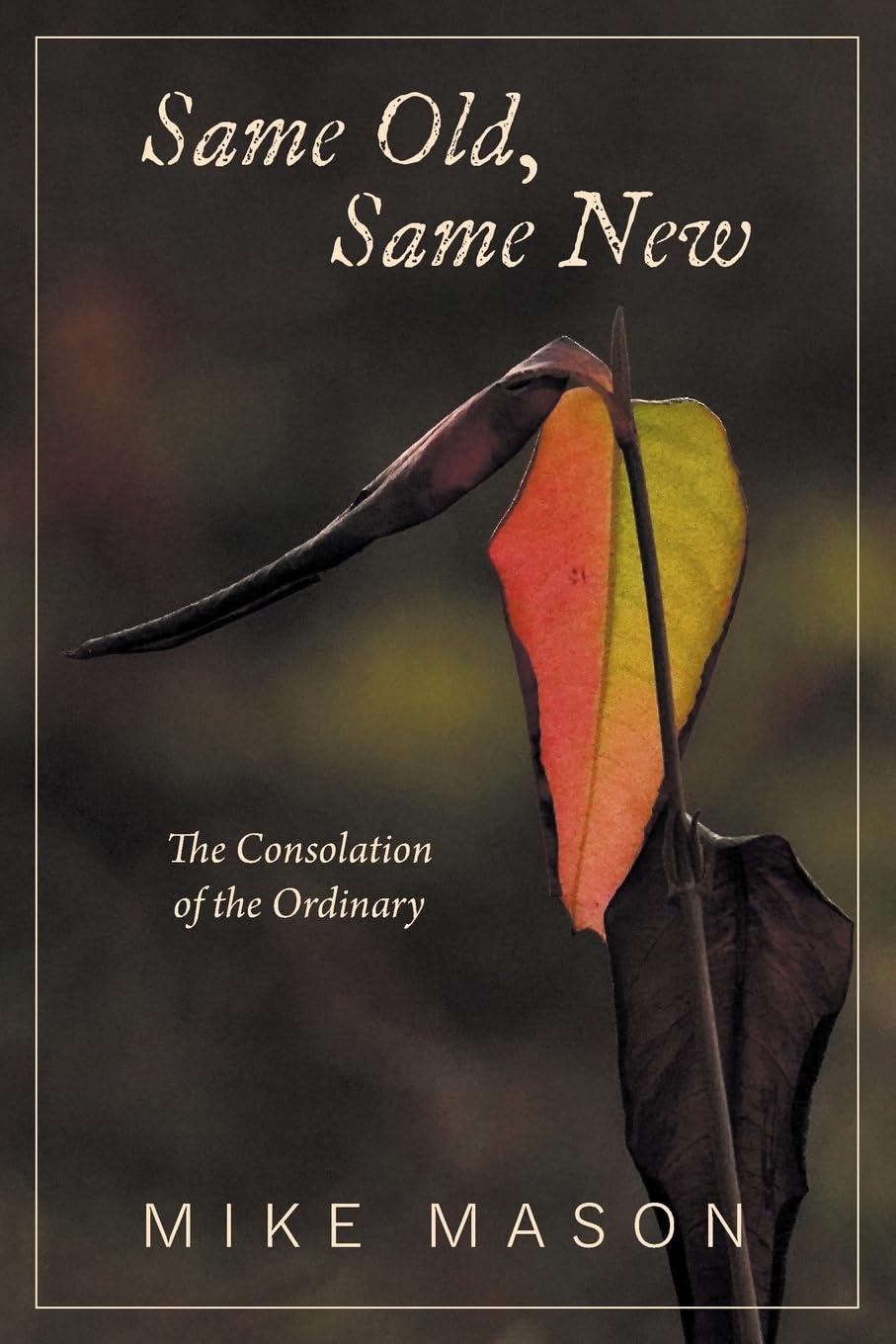 Infinity in Four Chair Legs: More Ordinary Quotes - Mike Mason